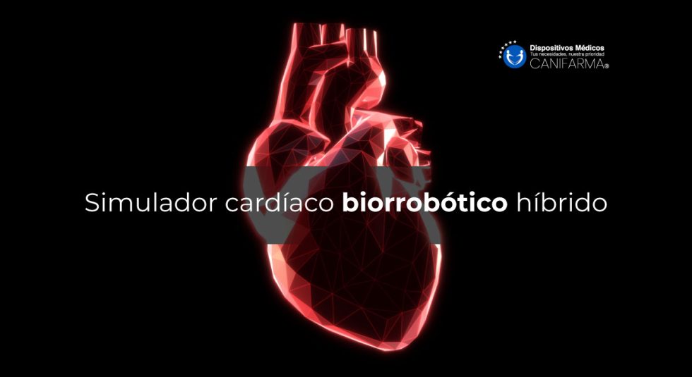 Simulador cardíaco biorrobótico híbrido | Dispositivos Médicos